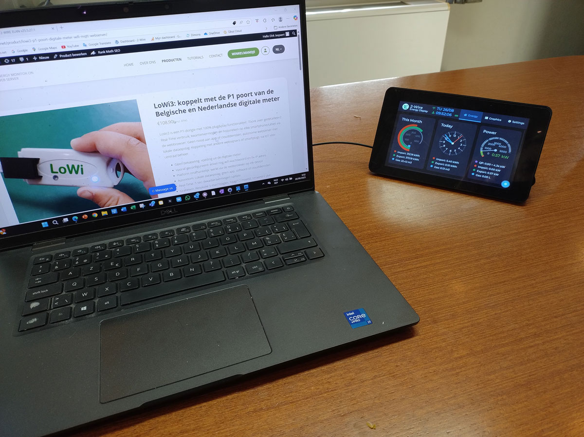 P1 Energy DISplay - 2-Wire